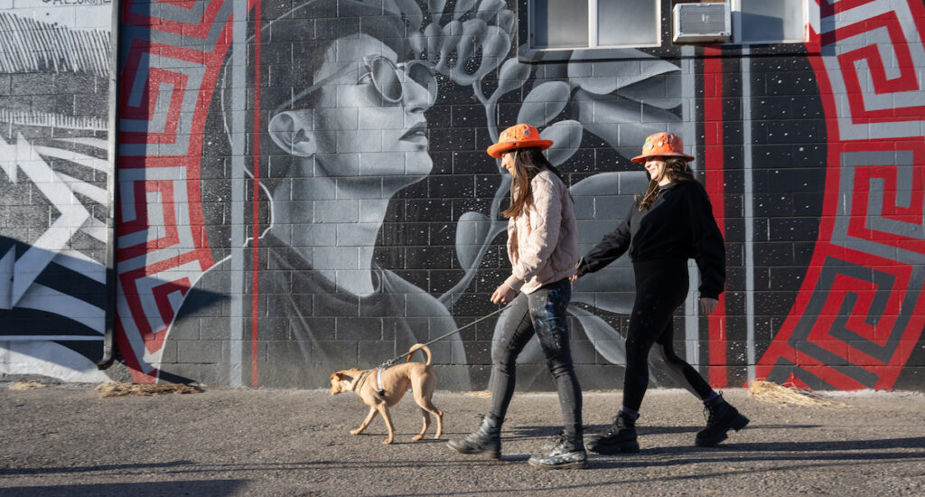 Street Wise Mural Festival Announces Artist Lineup, Celebrates Sixth ...