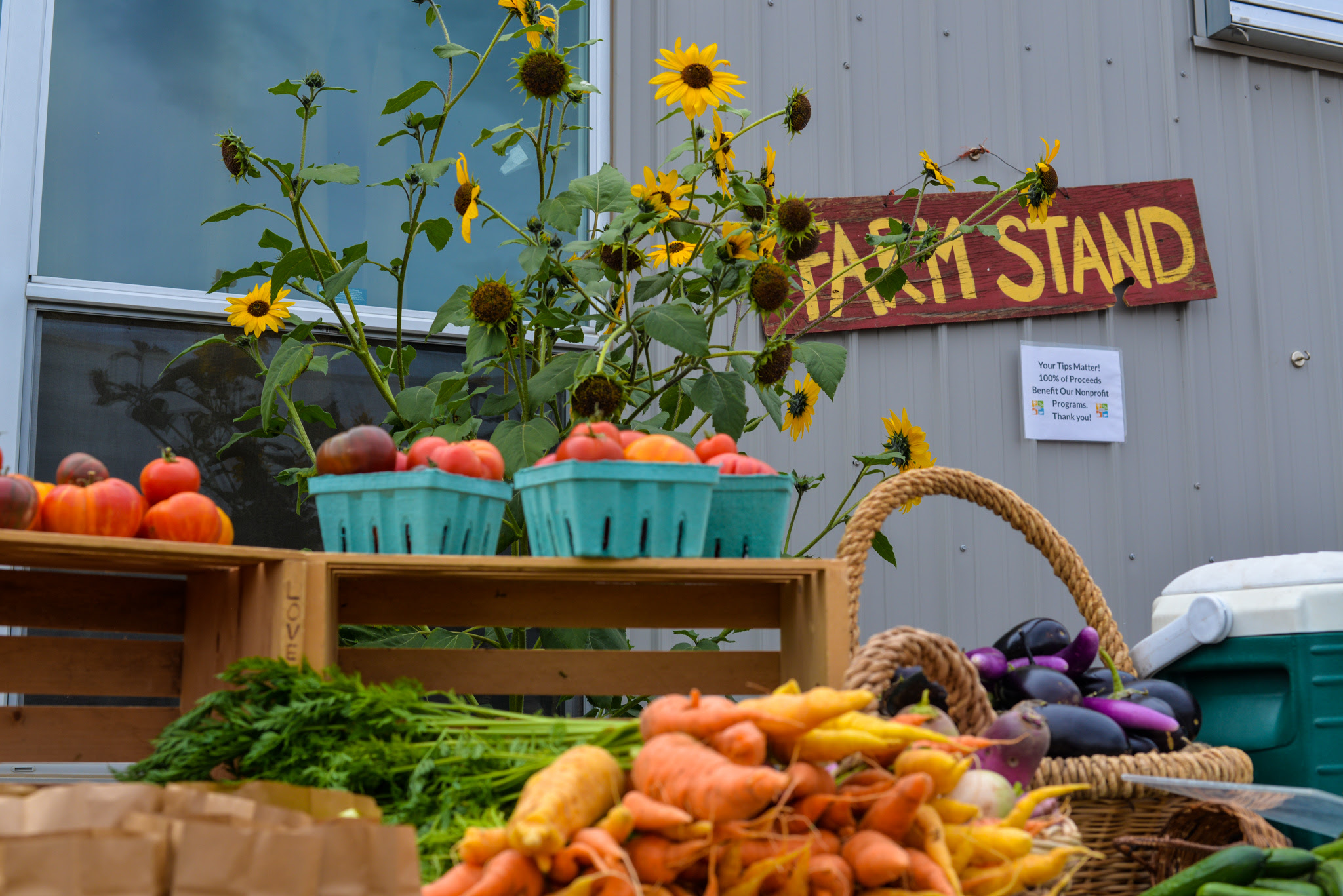 Growing Gardens: Opening Day of Our Farm Stand Today! - Yellow Scene ...