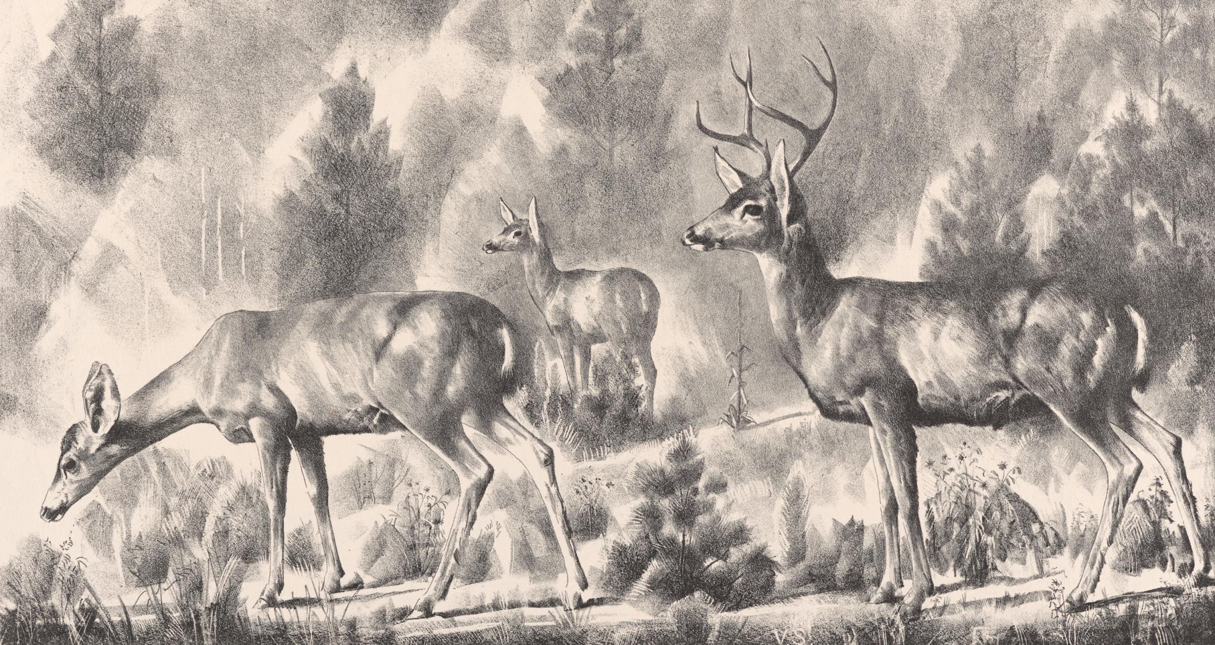 Southwest Impressions-Prints from the Barbara J. Thompson Collection ...