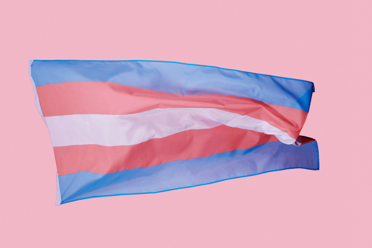Colorado Capitol To Mark Transgender Day of Visibility with Motus ...