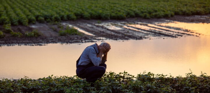 The Shrinking Margins of Boulder County Farming